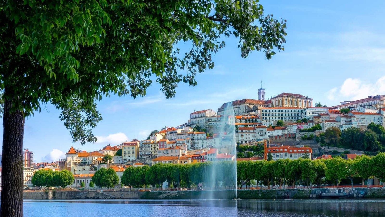 Nature's Call: Best Hiking Trails in Coimbra