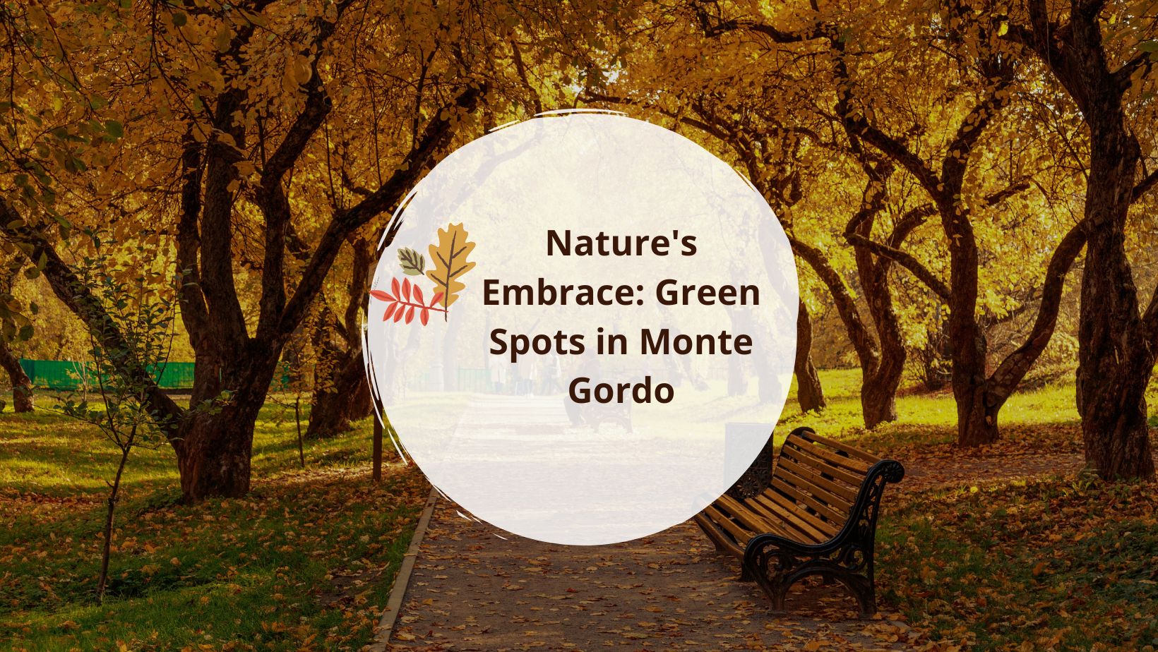 Nature's Embrace: Green Spots in Monte Gordo