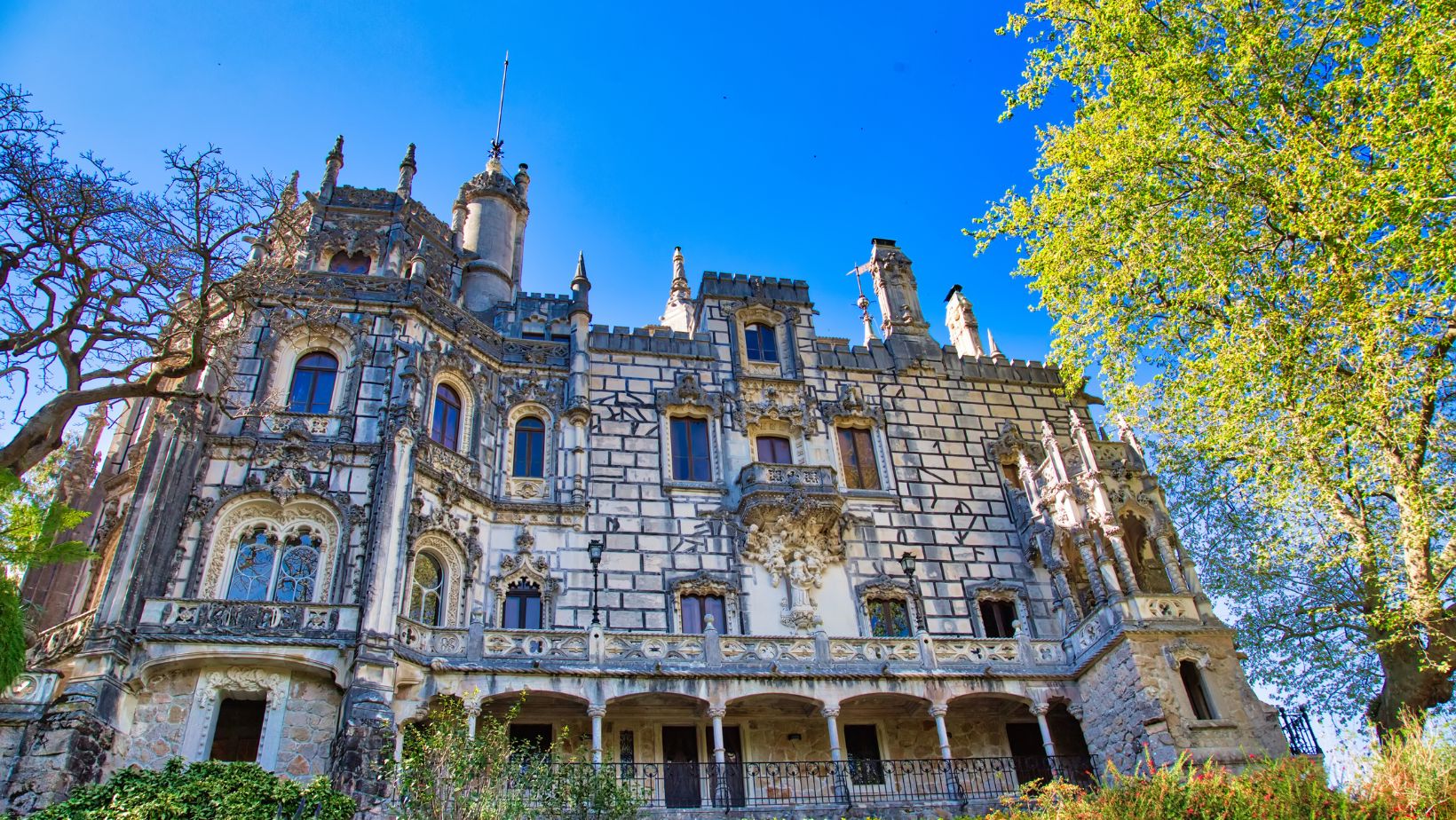 Dual Adventures in Quinta: Cars with Bike Racks